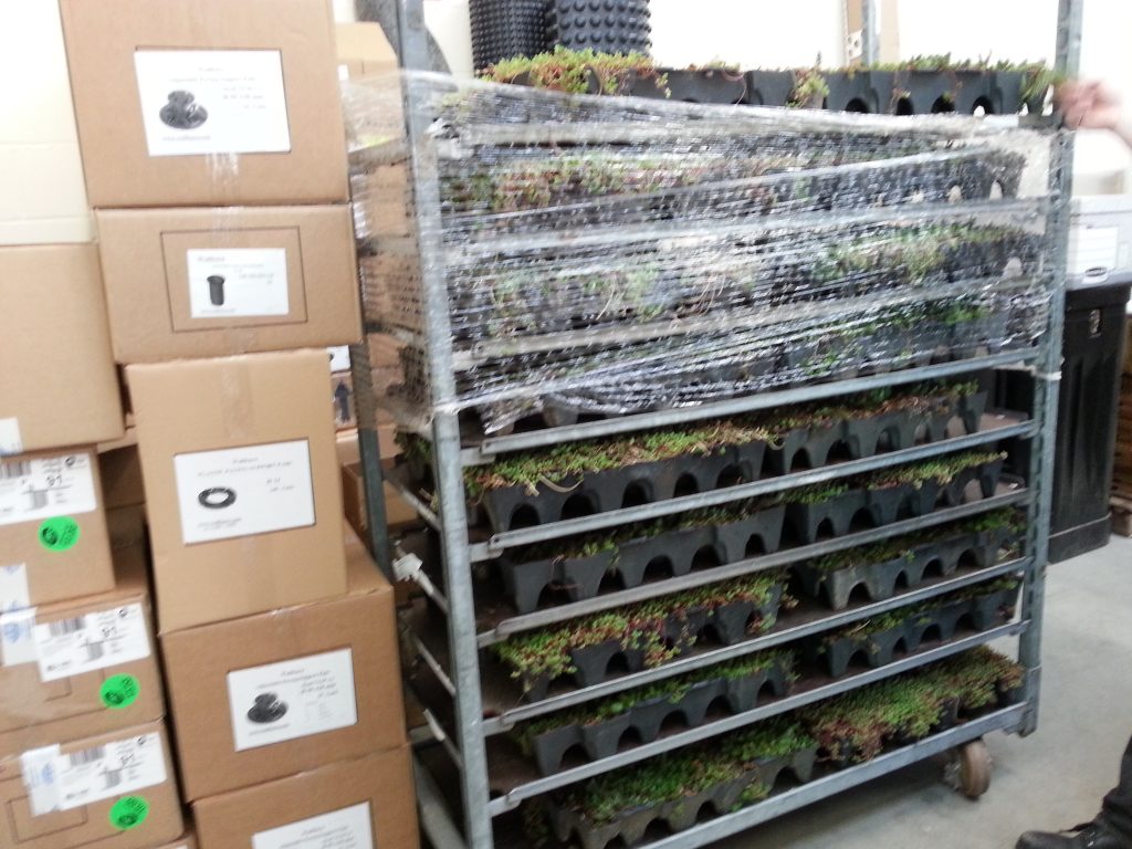 M-Tray is the tidiest and easiest way to lay green roofs - Wallbarn