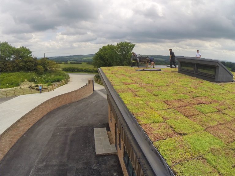 What Makes A Modular Green Roof Special - Wallbarn