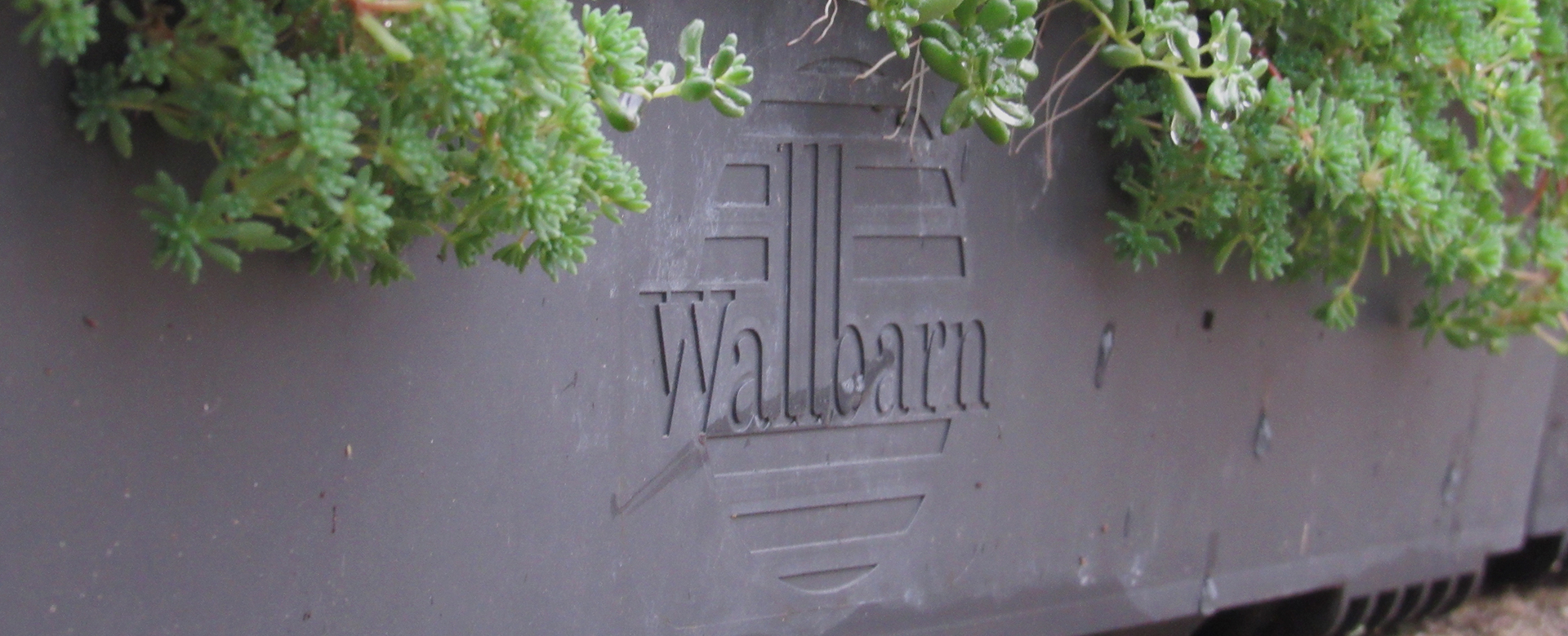 A close up picture of an M-Tray module - Wallbarn