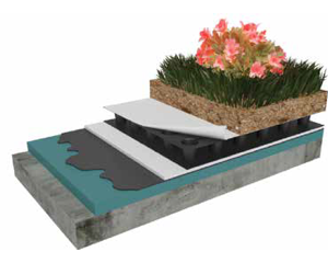 build up of roll out green roof - Wallbarn