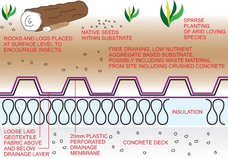 What are biodiverse green roofs? - Wallbarn