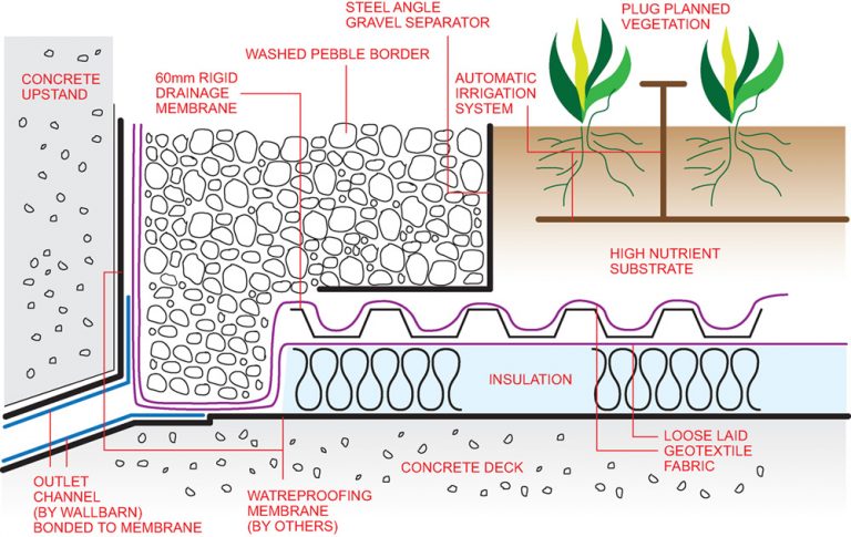 What are intensive green roofs? - Wallbarn