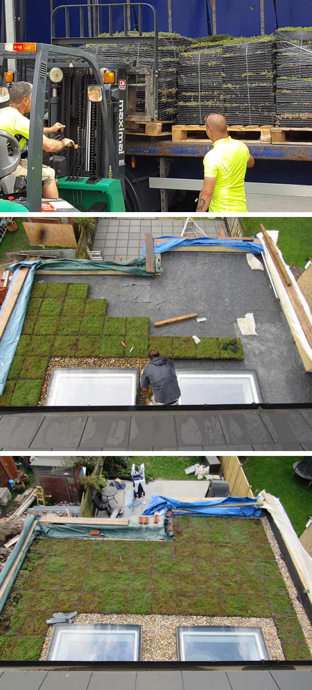 Green Roof Installation - Wallbarn