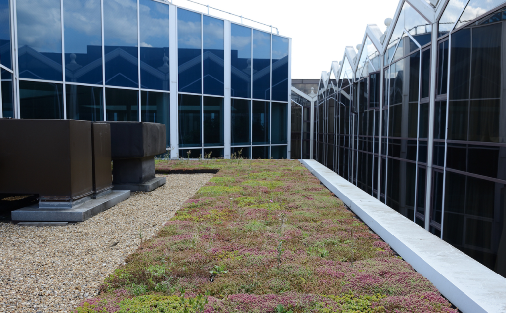 How Can Green Roofs Help To Increase Biodiversity - Wallbarn