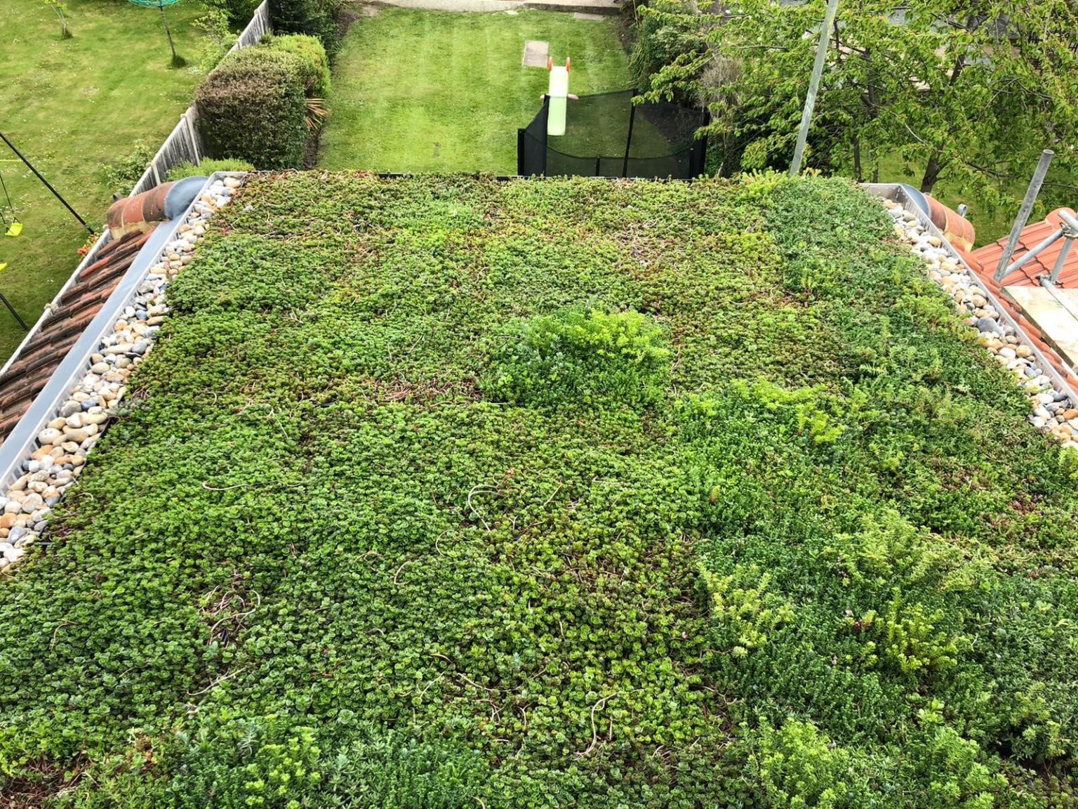 A Guide to Modular Green Roofs - Wallbarn