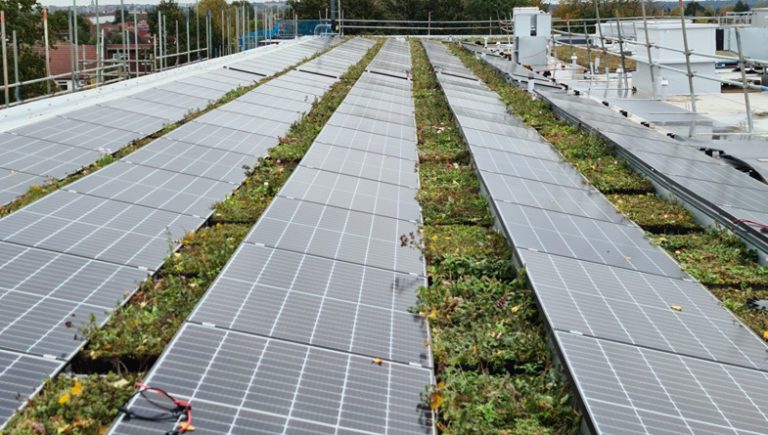 Solar Panels on Wildflower M-Tray on Roof of Turing House - Wallbarn