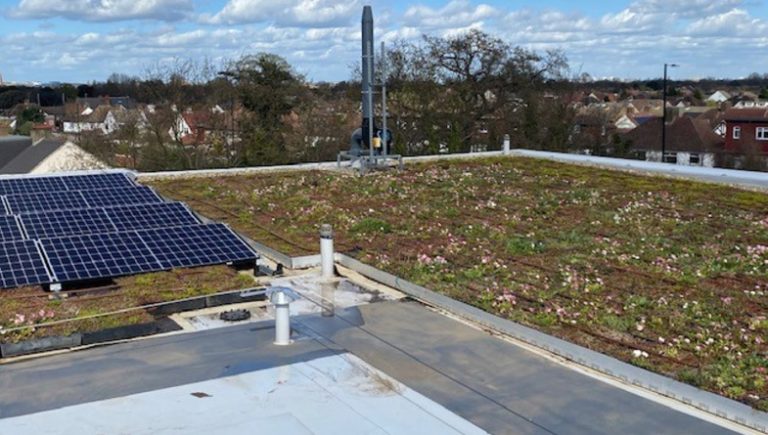 Turing-House-Wildflower-M-Tray-near-Solar-Panels-Pic-23 - Wallbarn