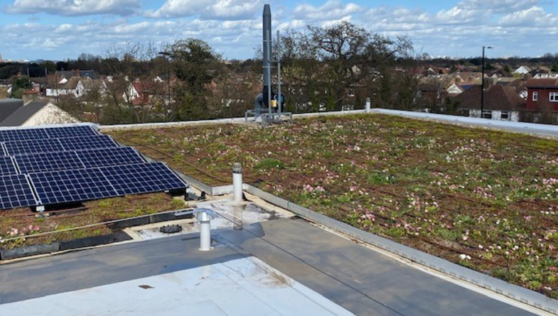 M-Tray® Modular Green Roofs - Wallbarn