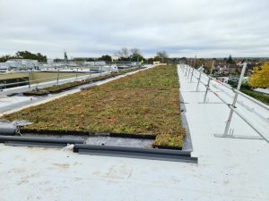 M-Tray® - Turing House school project - Wallbarn