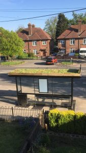 Bee bus stop M-Tray green roof Derby - Wallbarn
