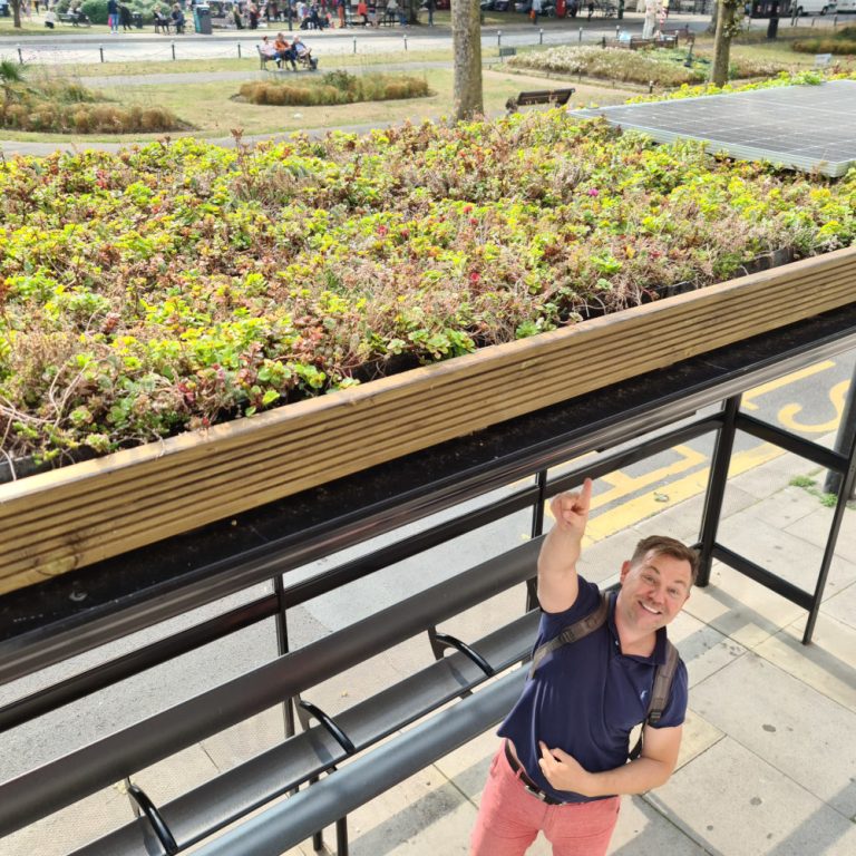 M-Tray®: A Greener Future, One Roof at a Time - Wallbarn